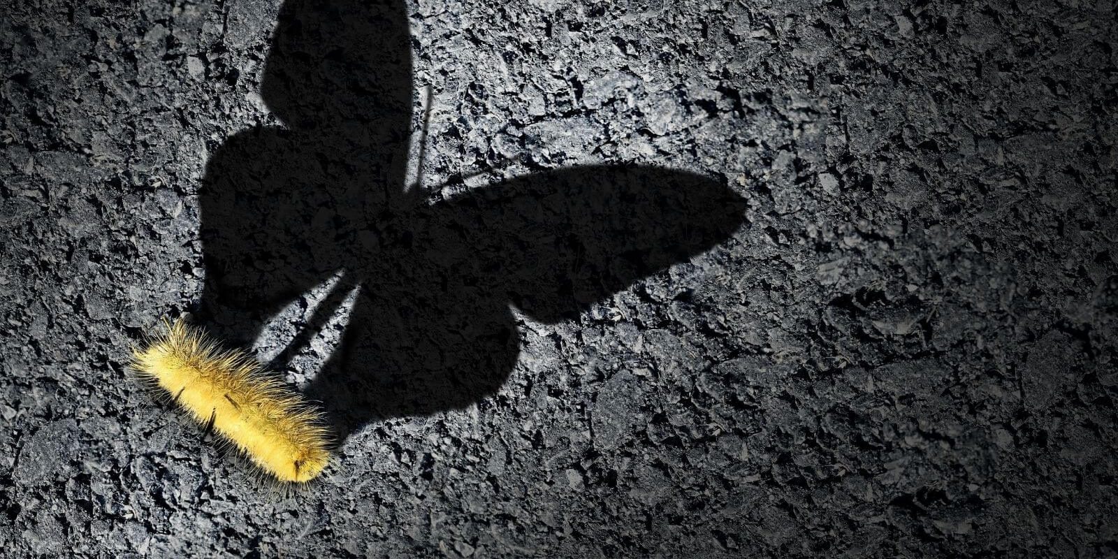 What would it BE like to CHANGE by choice? - Dr. Sarah Brotsky